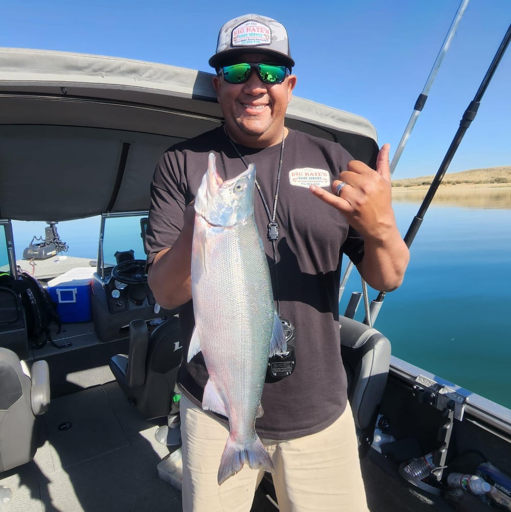 Fish Trips – Sampson Outdoors