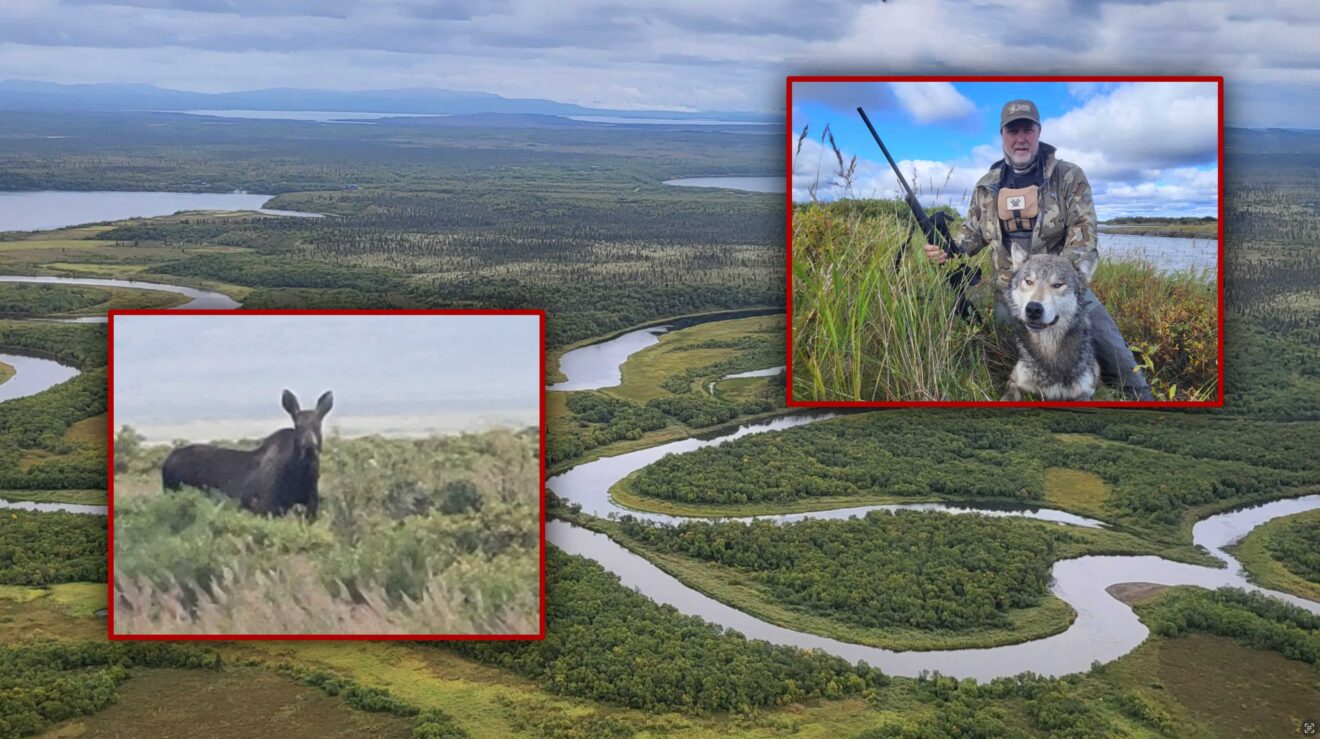 Alaskan 60-mile Float Trip Moose & Wolf Hunt – Sampson Outdoors